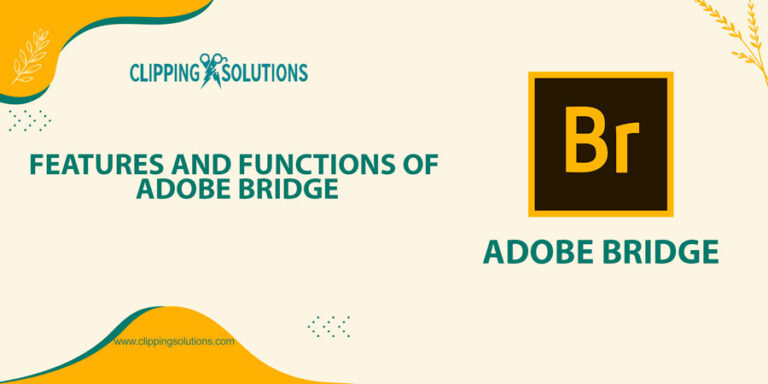 Adobe Bridge | Important Features and Functions in 2023